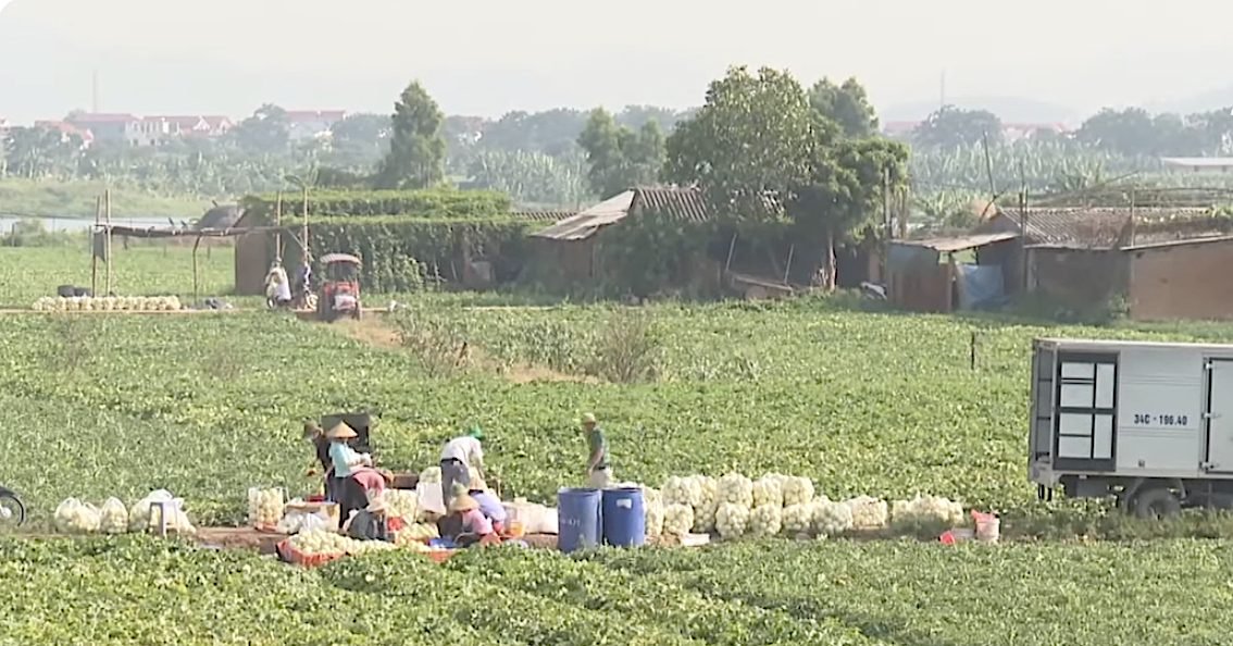 Hiệu quả từ những “ăng-ten” thu phát các thông tin từ chính sách của ...