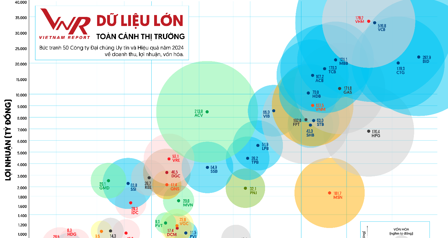 Vietnam Report: Toàn cảnh bảng xếp hạng VIX50 năm 2024