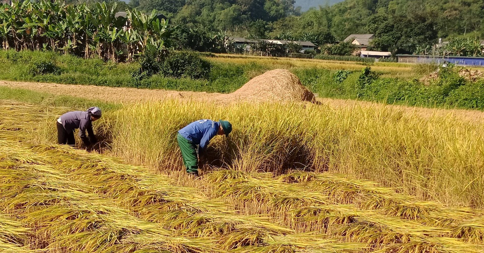 Việt Nam xây dựng Báo cáo quốc gia UPR chu kỳ IV kỹ lưỡng, toàn diện