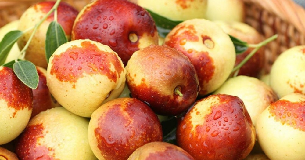 Ăn quả hồng táo có tốt không? Những ai không nên ăn hồng táo?