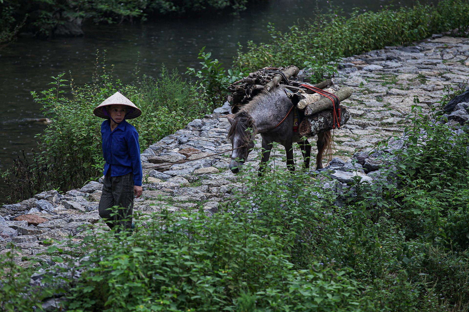 Độc đáo phong trào thi đua 'Dòng họ, thôn không còn hộ nghèo' ở Văn Yên