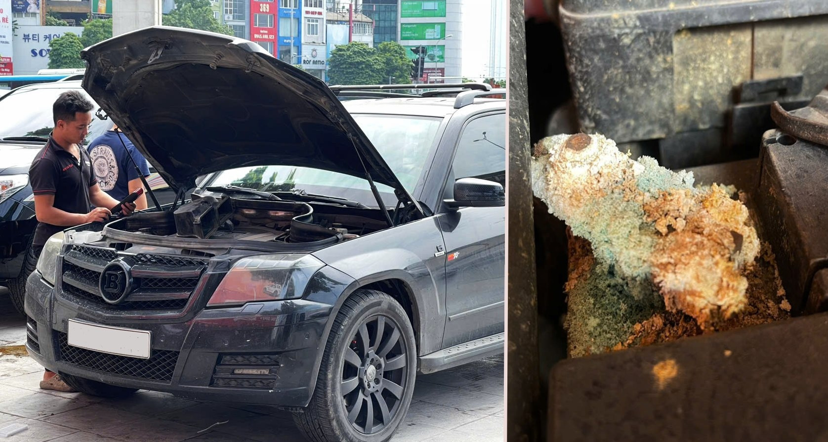Xe đang đi bỗng chết máy, tài xế tá hỏa khi thấy cảnh tượng ở dưới nắp capo