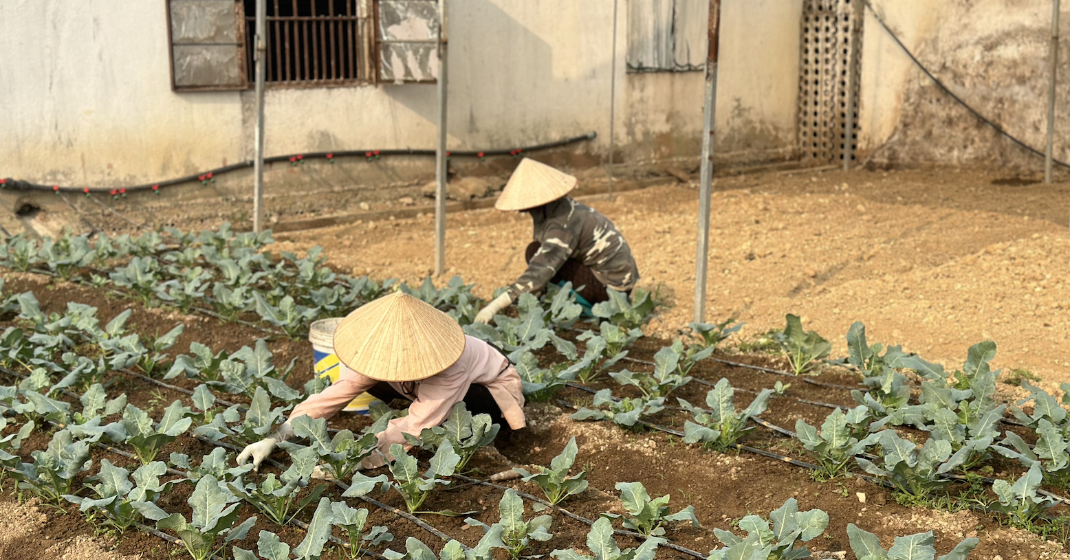Hội Nông dân Điện Biên đồng hành cùng hội viên dựng xây nông thôn mới