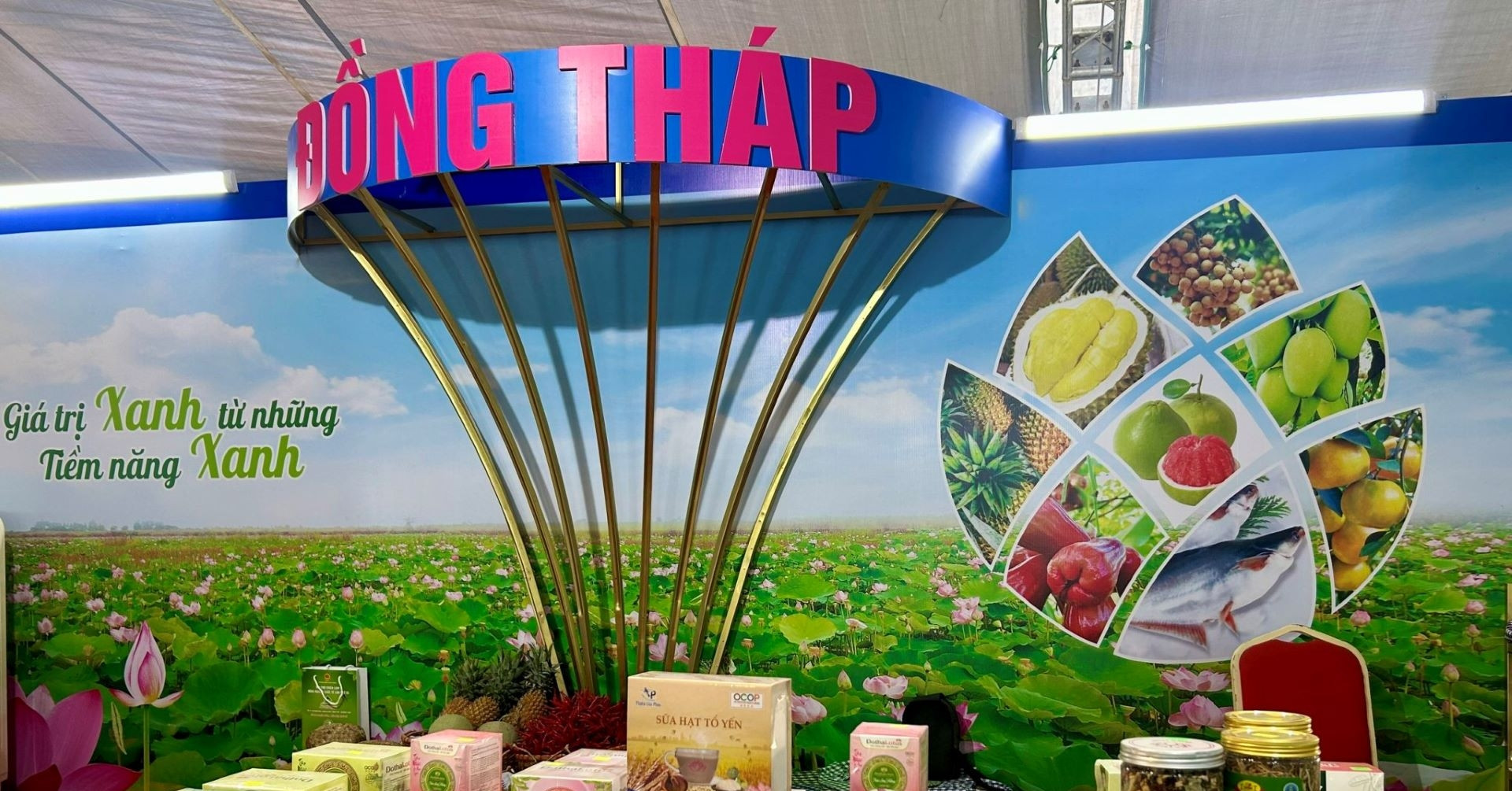 Đồng Tháp: OCOP tạo động lực mới cho kinh tế nông thôn