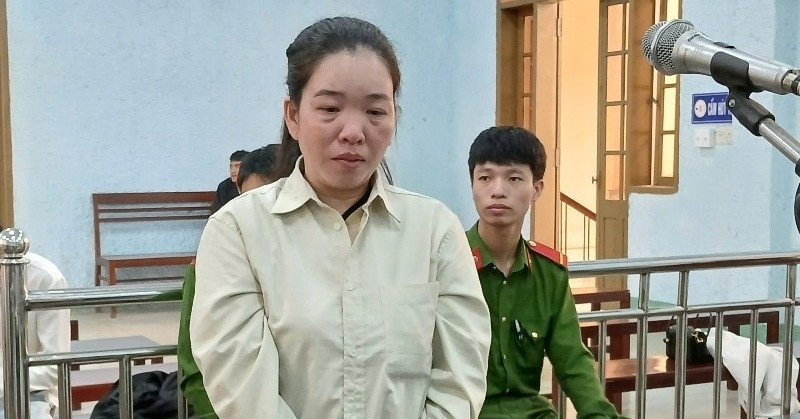 Lừa đảo rồi chiếm đoạt hơn 4,63 tỷ đồng, người phụ nữ bị phạt 15 năm tù