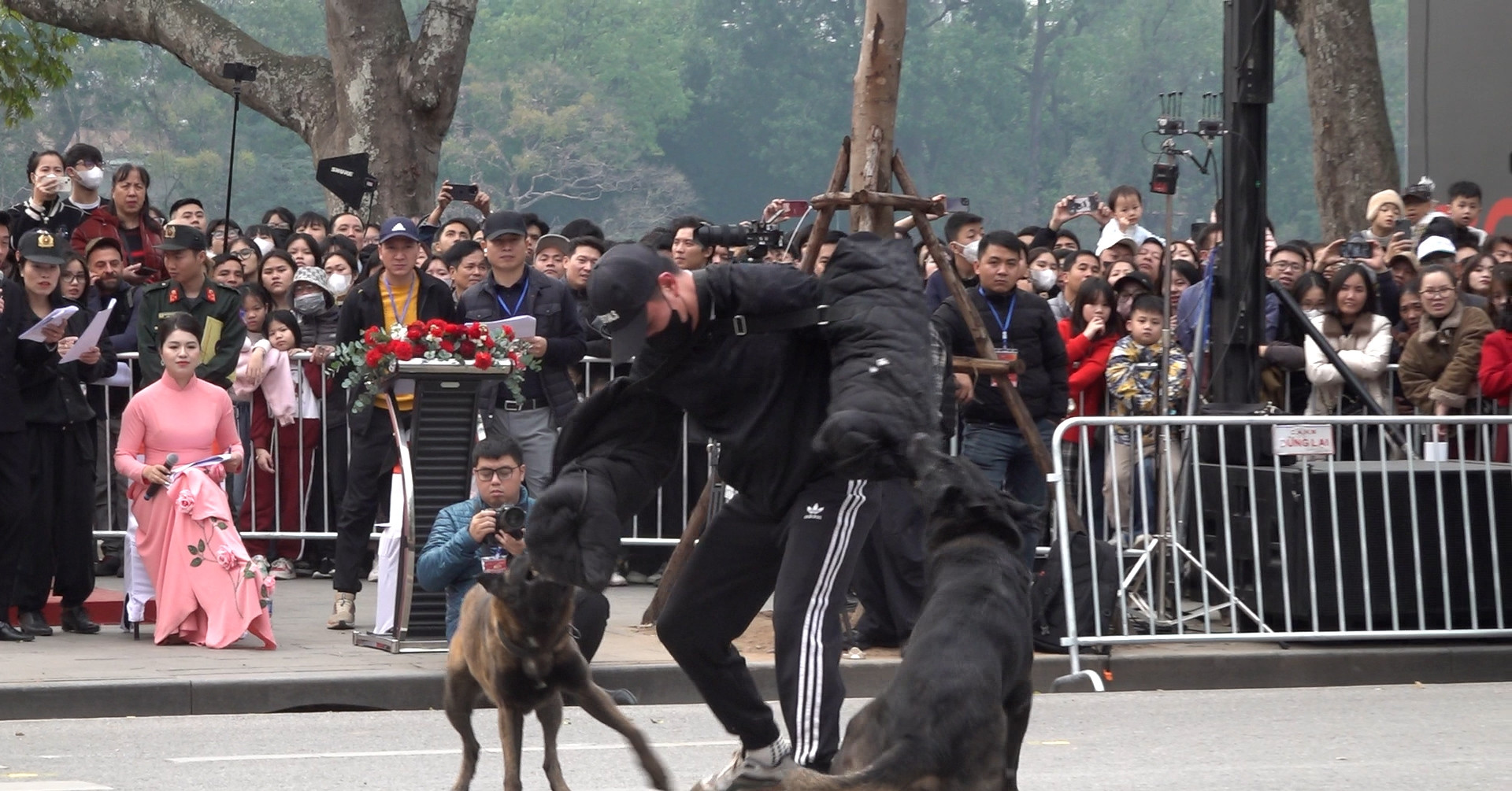 Xem chó nghiệp vụ trổ tài tác chiến trấn áp tội phạm trên phố đi bộ Hồ Gươm