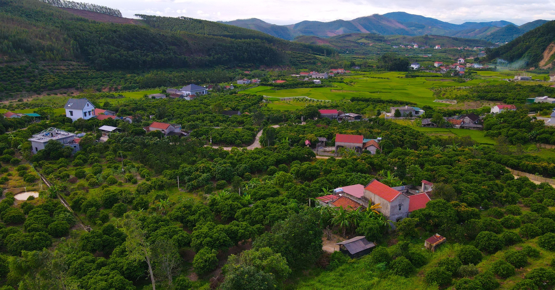 Sẽ thu gọn đầu mối quản lý Chương trình 1719, trao toàn quyền cho địa ...