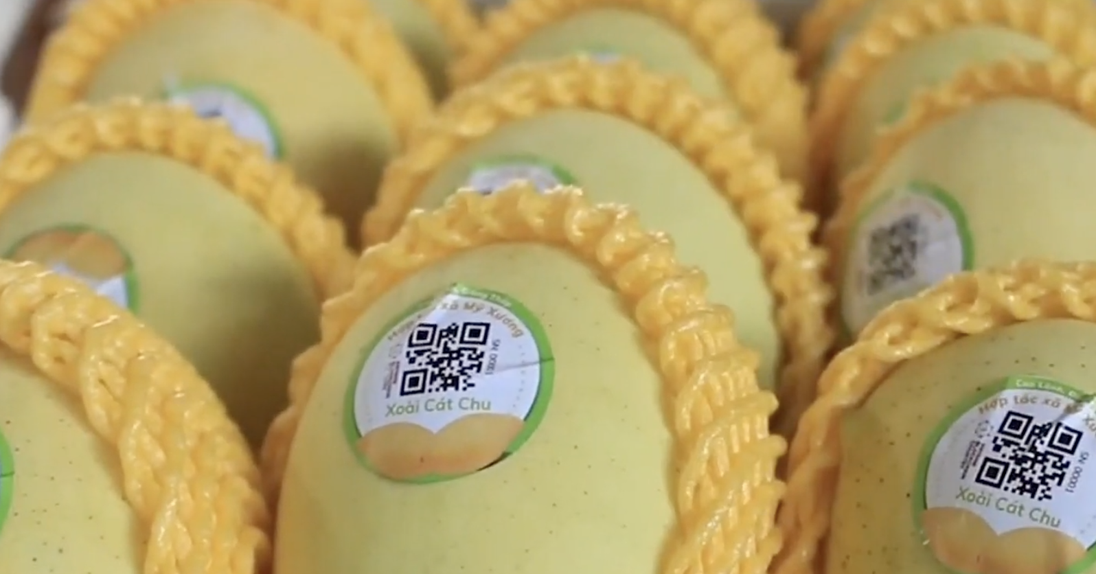 Nhật ký điện tử giúp nông dân Đồng Nai chủ động trên thị trường nông sản