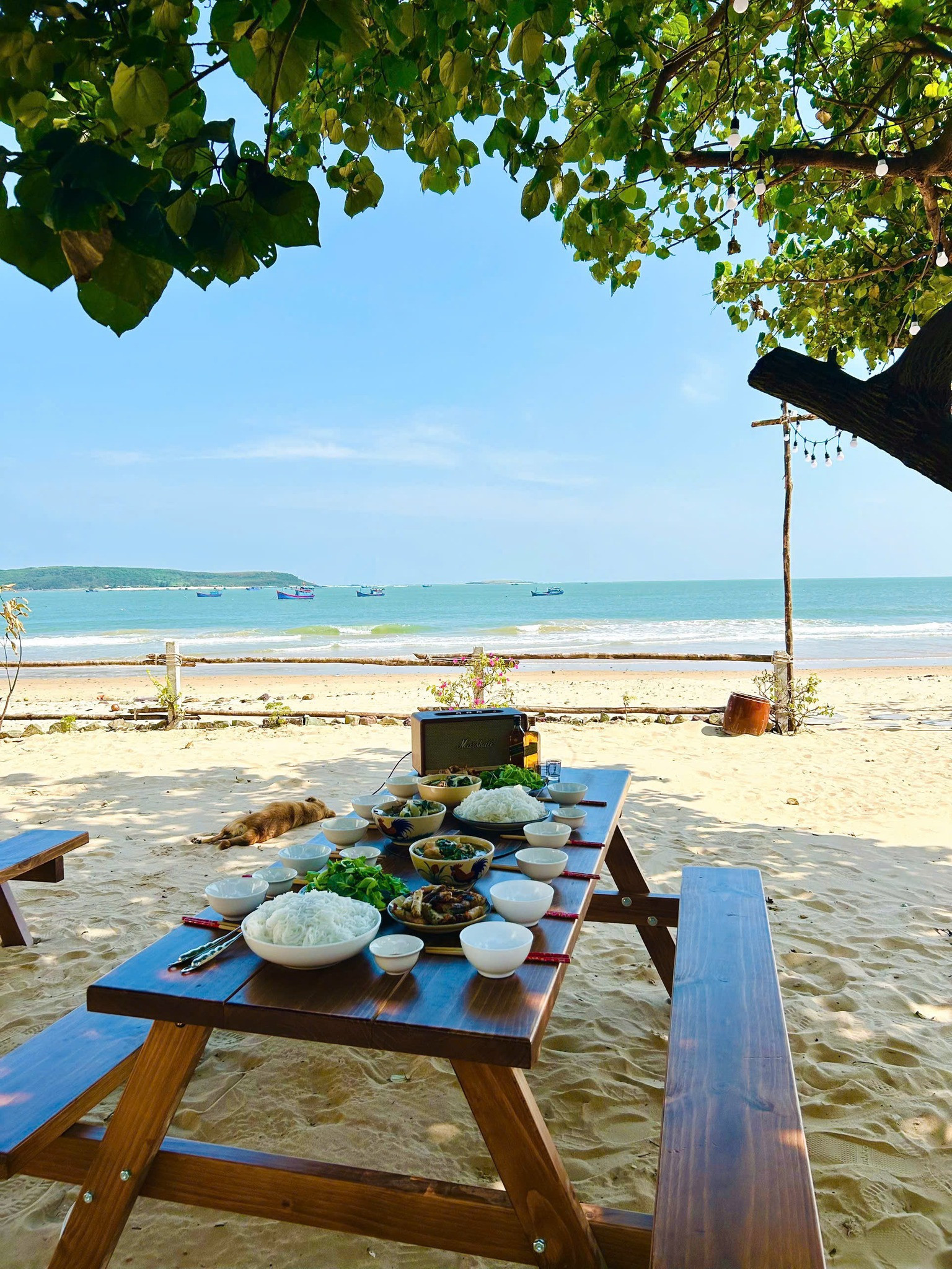 A Vietnamese-American couple, captivated by a fishing village in Dak ...