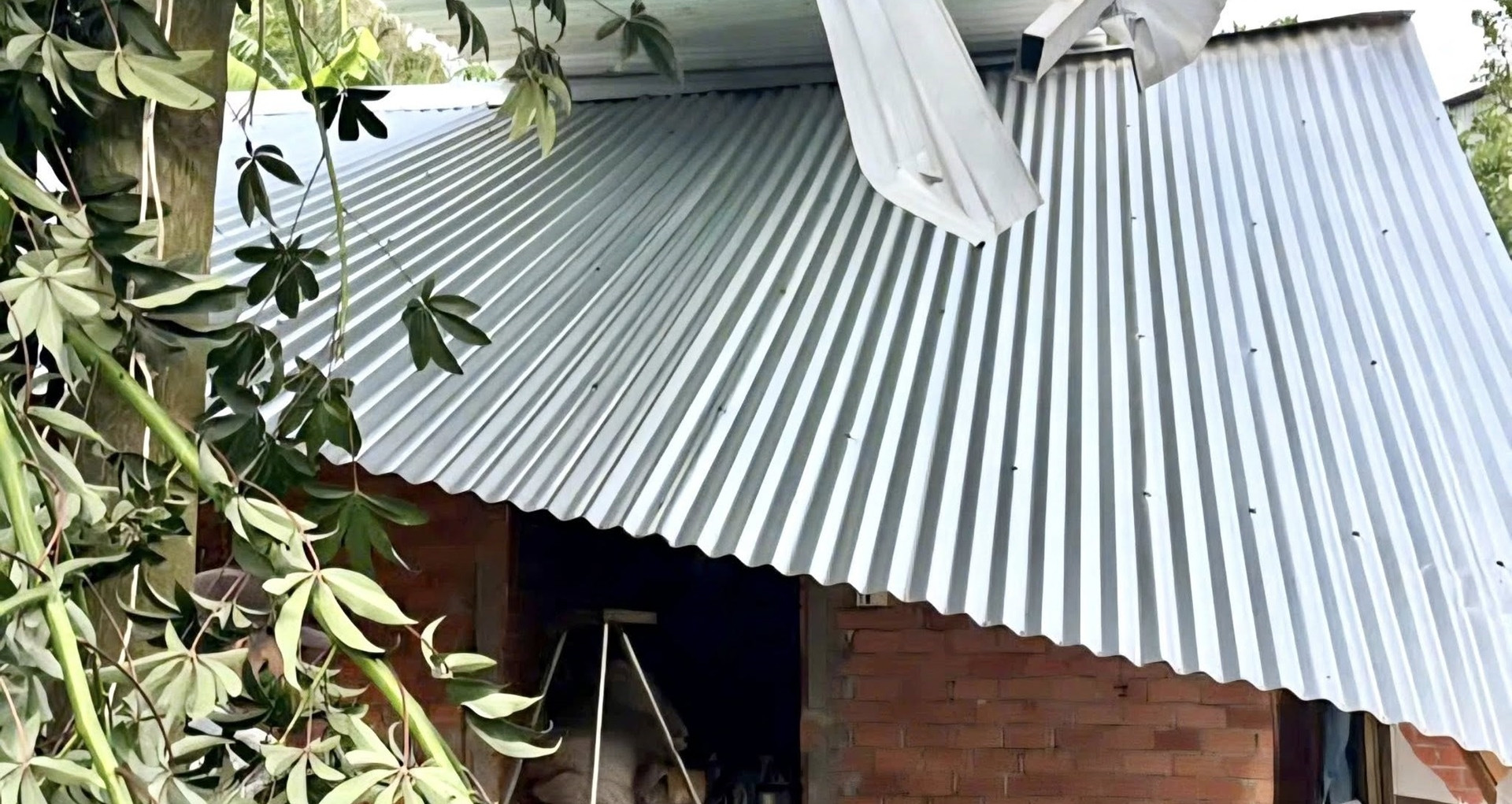 Giông lốc làm sập gian bếp, 3 mẹ con chạy thoát trong gang tấc ở TPHCM