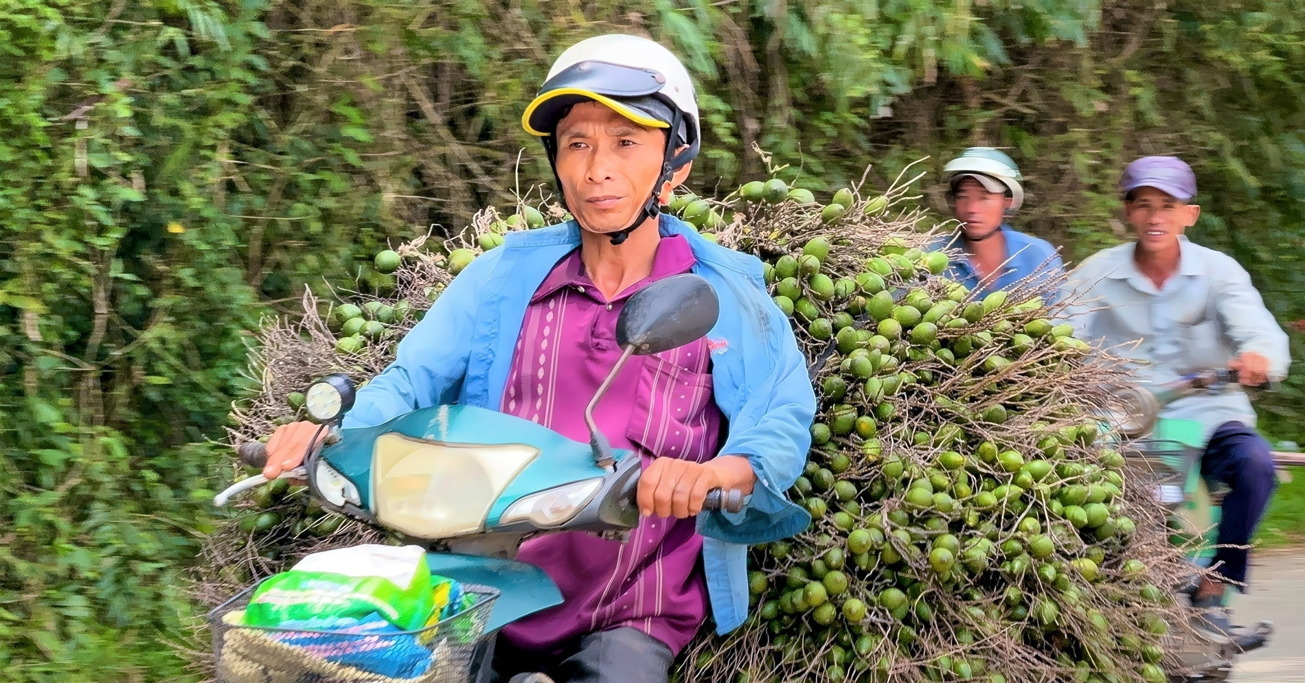 Areca nut prices soar, farmers get windfall, but price drop anticipated
