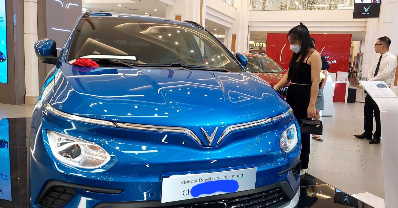 Renewable energy promoted, electric cars to be main mode of transport ...