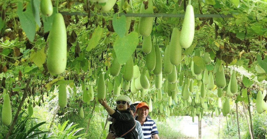 Vietnam’s agricultural exports soar, projected to reach $61 billion ...