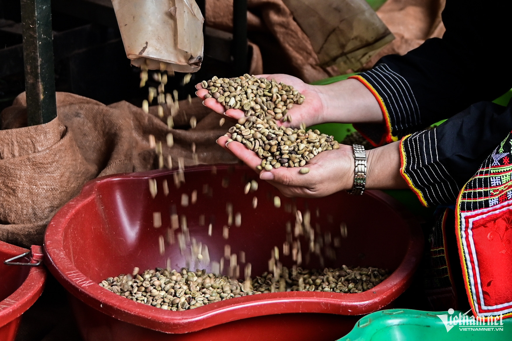 Global coffee prices surge as Vietnamese farmers hold back stock