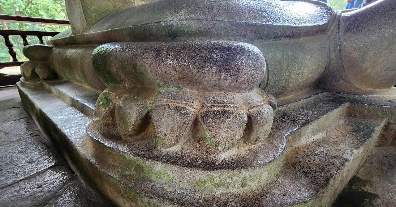 The six-clawed turtle: Vietnam’s unique national treasure at Lam Kinh