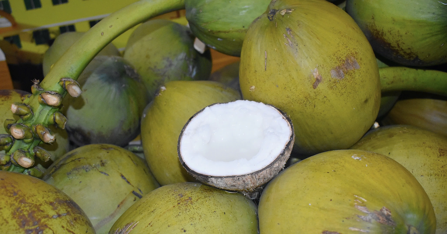 Vietnam’s coconut industry faces crisis as exports to China drain raw ...