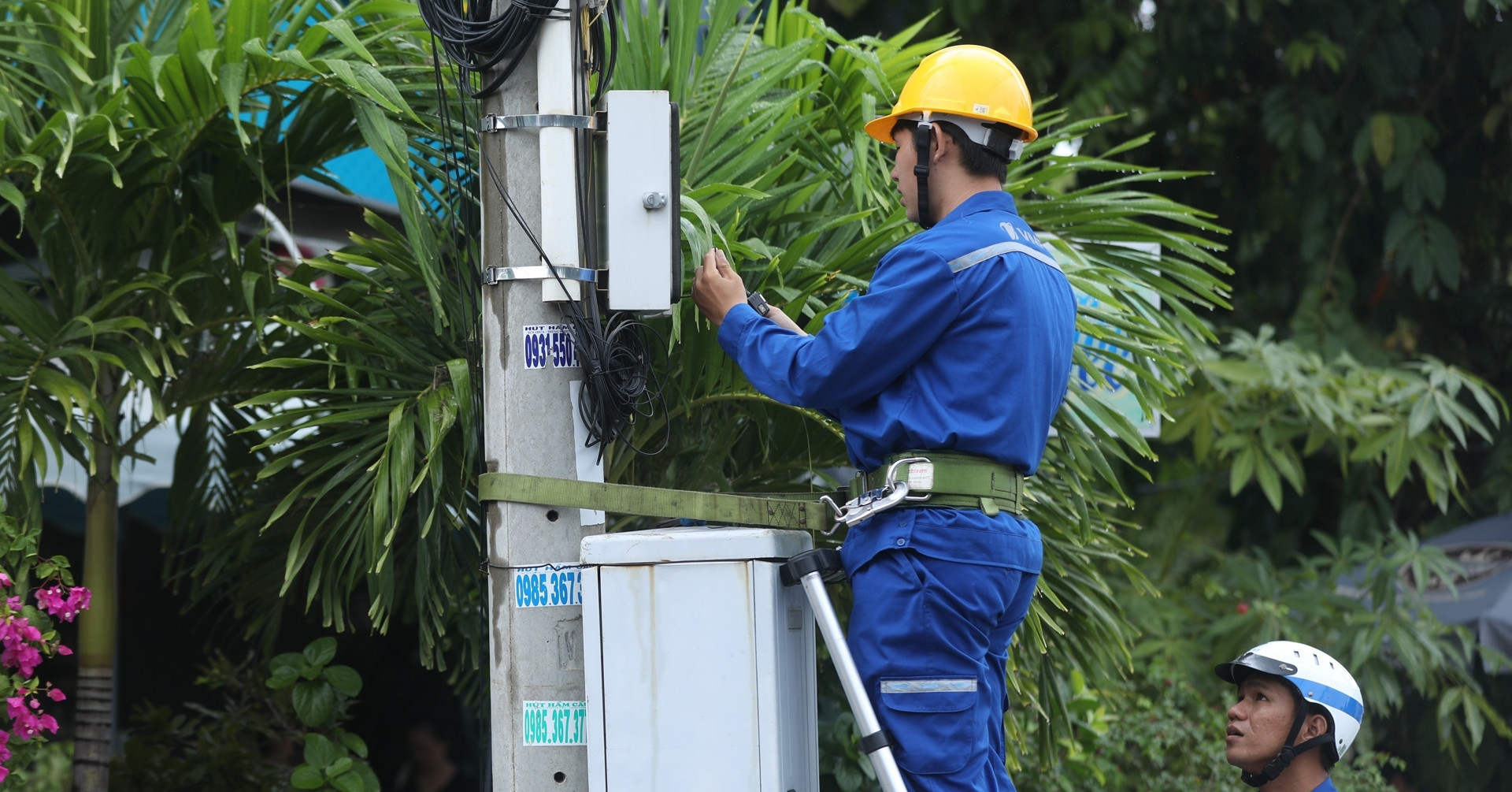 MIC removes difficulties for telcos to develop passive telecom ...
