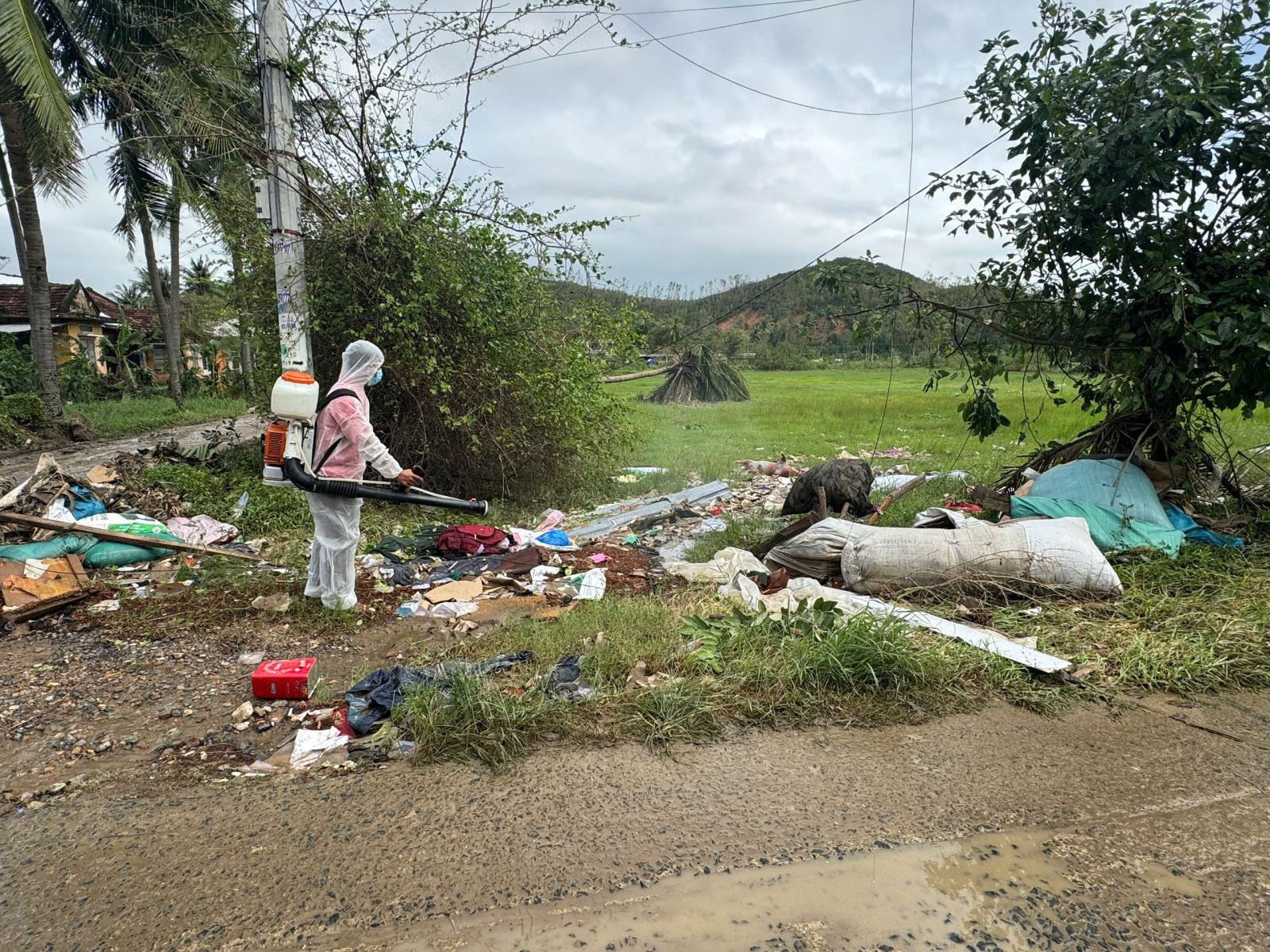Post-flood cleanup begins in Gia Lai, Dak Lak to prevent epidemics