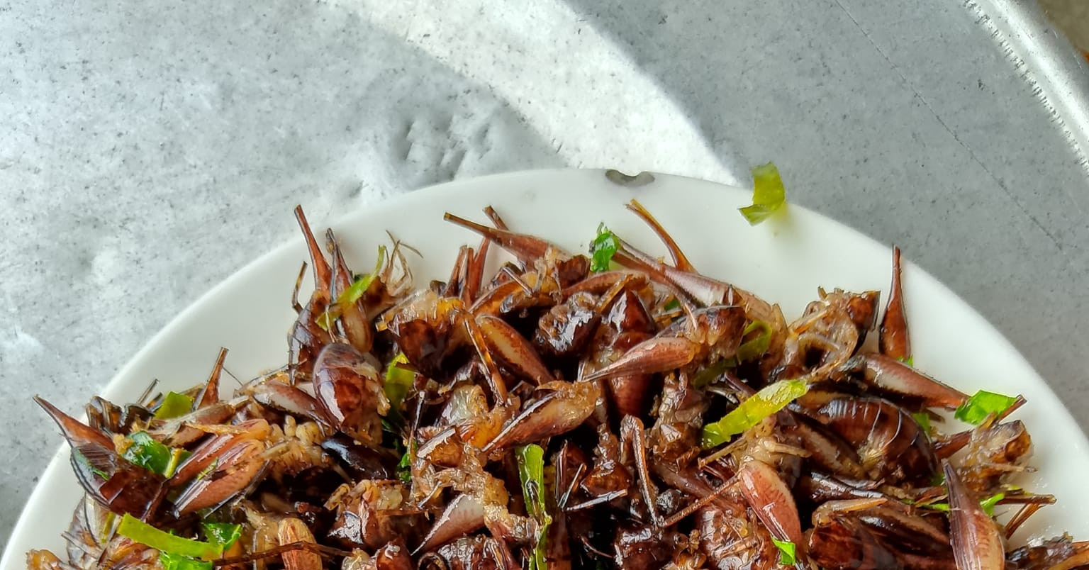 Tree-climbing shrimp: a unique dish in Lang Son province