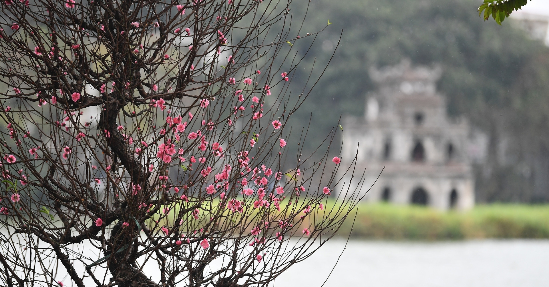 Vietnam’s path to prosperity: Bold ambitions for 2025 and beyond