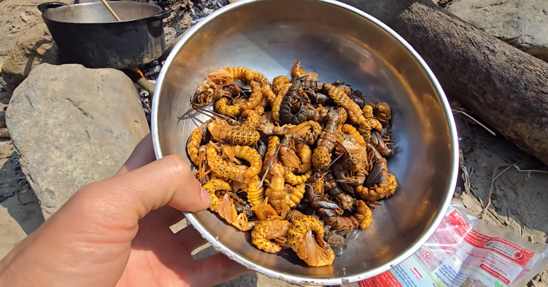 Stone worms: A rare and terrifying specialty from Vietnam’s mountain ...
