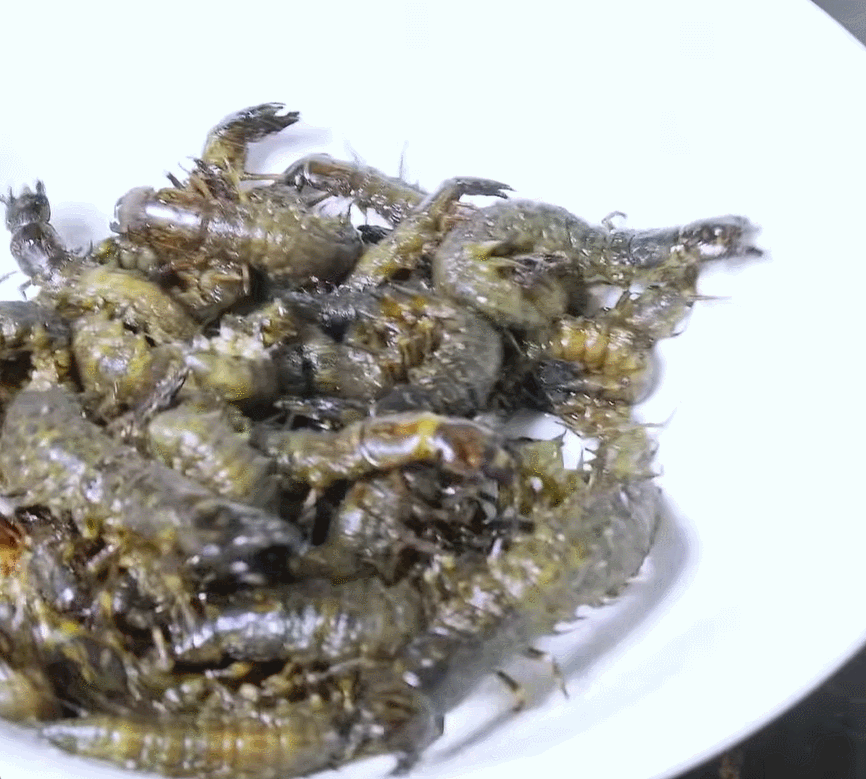 Stone worms: A rare and terrifying specialty from Vietnam’s mountain ...