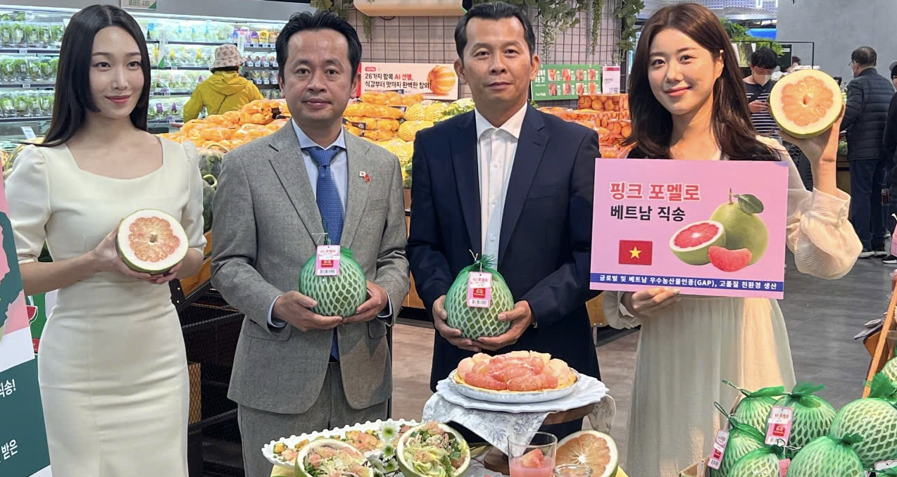 Vietnam's pomelo launched in South Korea’s Lotte Mart