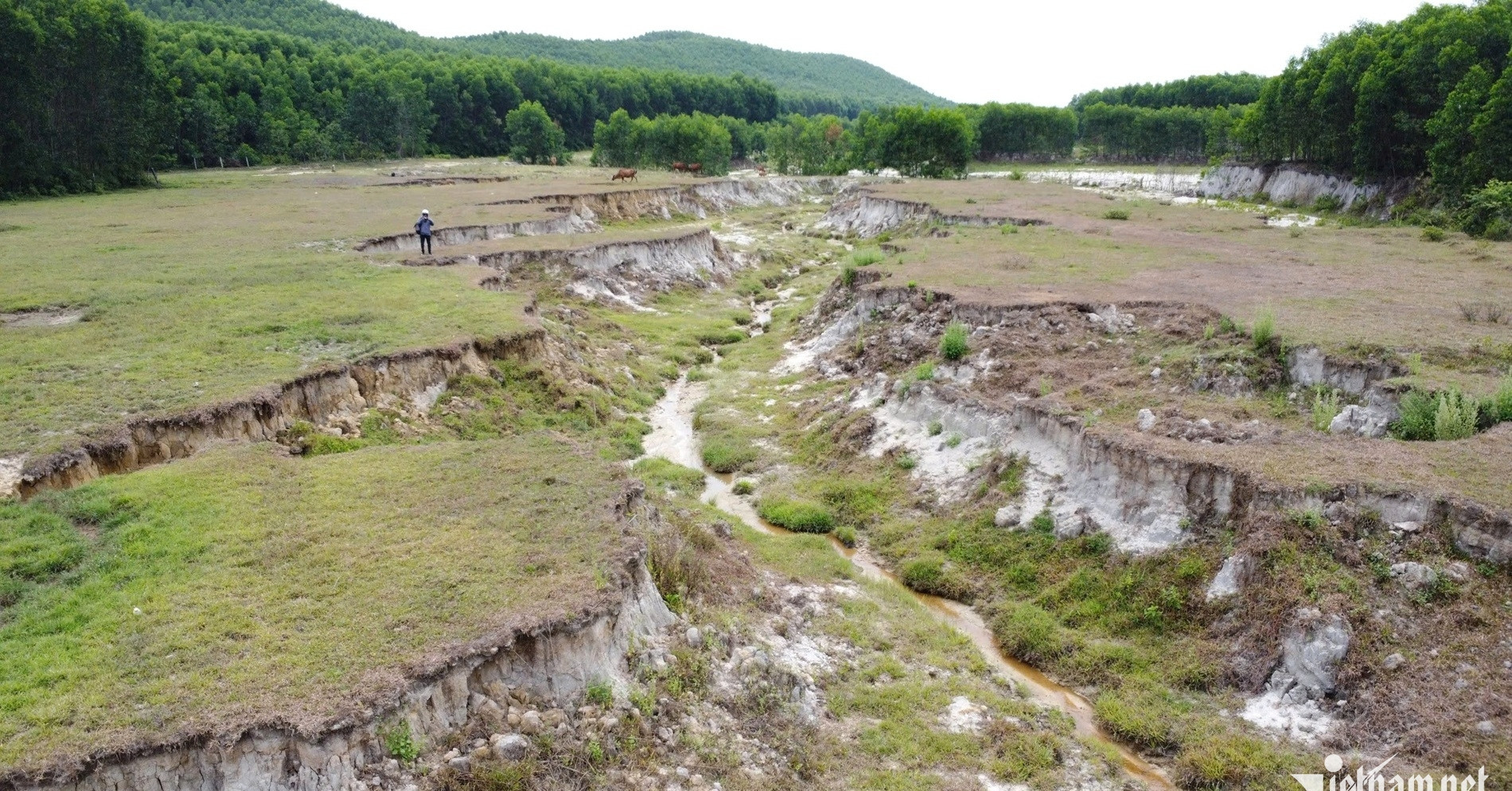 Mining company files for bankruptcy, leaves fields in disarray