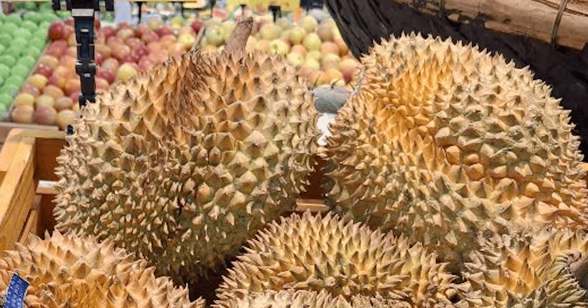 Vietnamese durian receives good news from China, staging remarkable ...