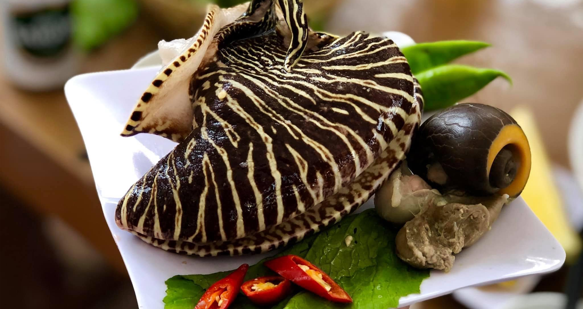 Vietnam’s giant elephant snail wows with sweet, crunchy meat