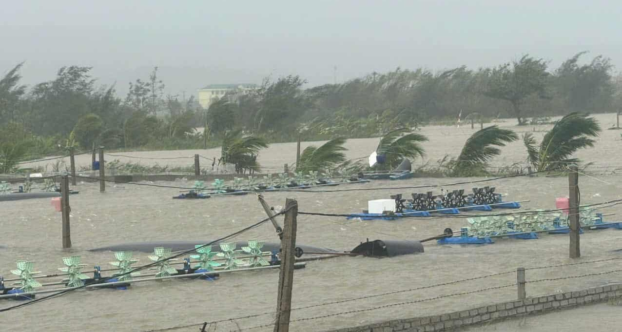 Storm Bualoi weakens but leaves Vietnam facing extreme floods