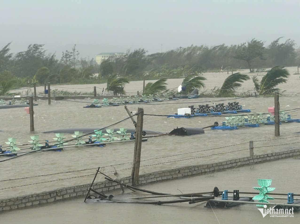 Storm Bualoi weakens but leaves Vietnam facing extreme floods
