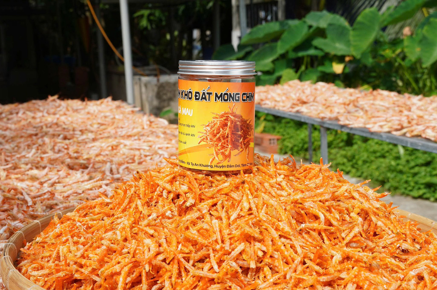 In Ca Mau, a claw-shaped dried shrimp is making waves as a luxurious ...