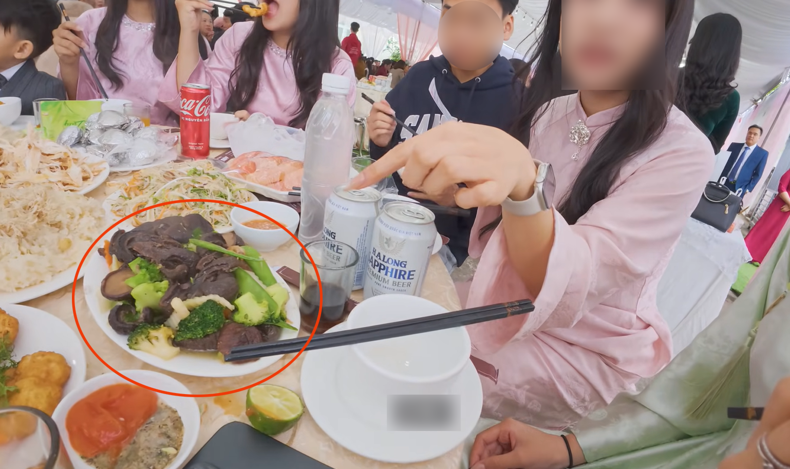 Quang Ninh’s ‘heaven-sent’ sea cucumber stuns visitors with its odd charm