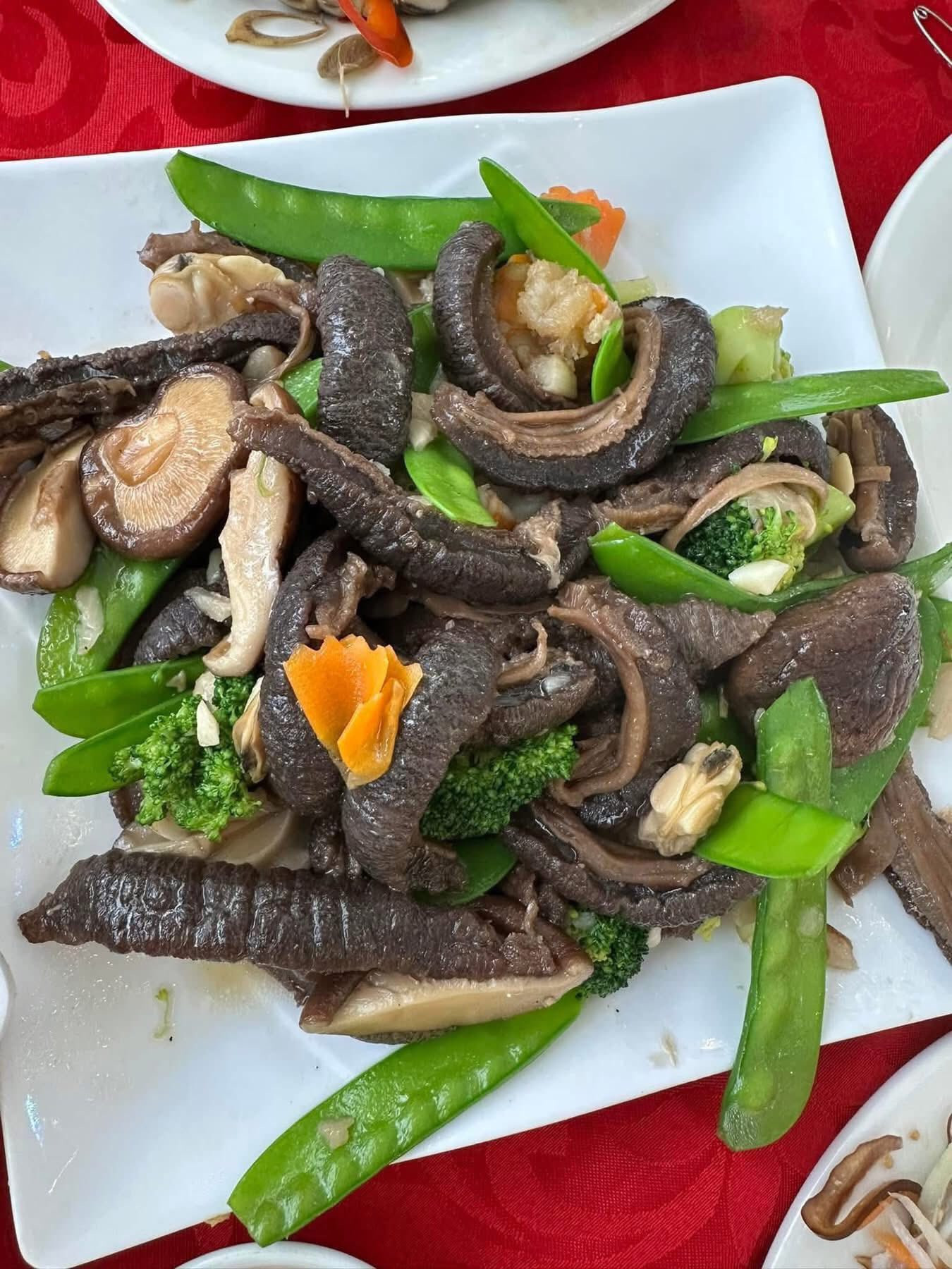 Quang Ninh’s ‘heaven-sent’ sea cucumber stuns visitors with its odd charm