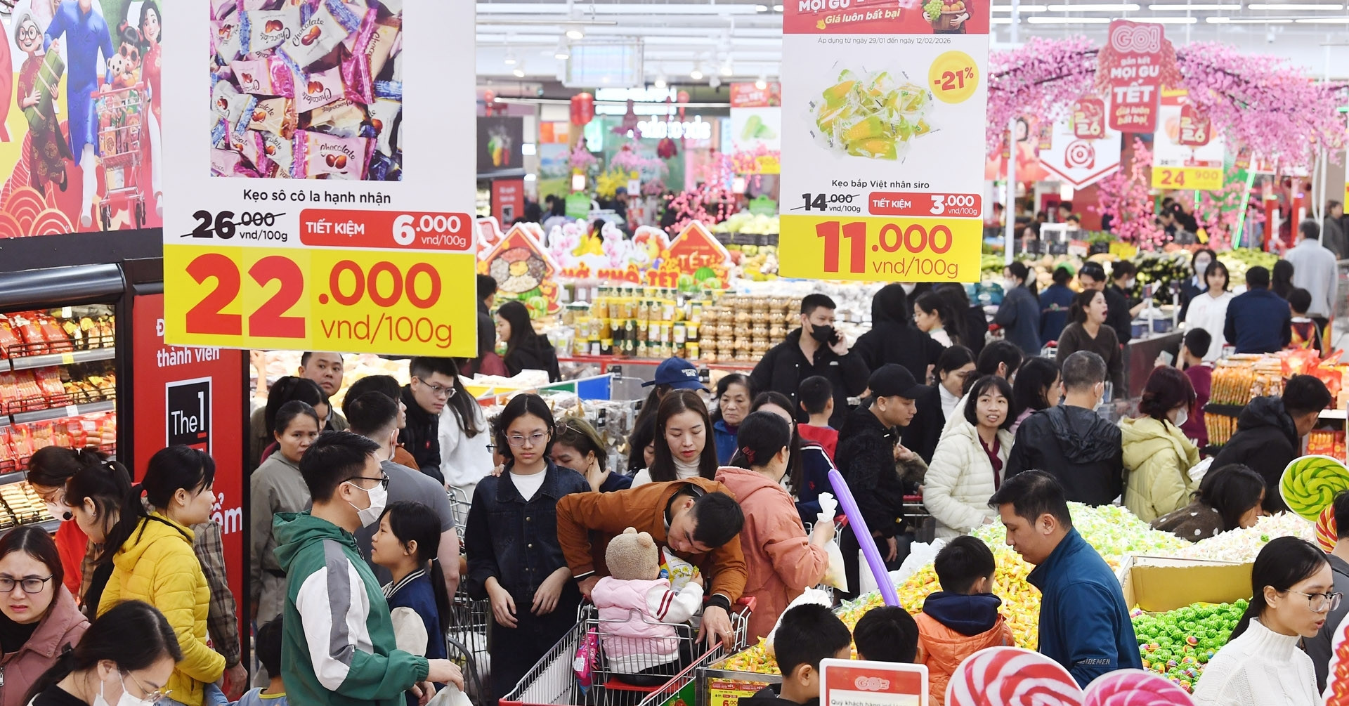 VN must rely on ‘internal strength’ rather than FDI to gain double ...