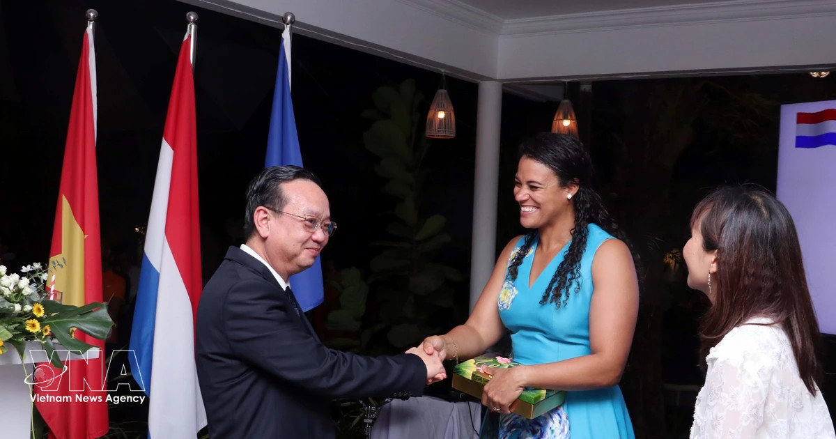 Ho Chi Minh City pledges deeper practical cooperation with Dutch partners