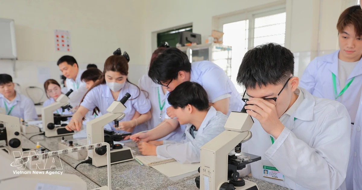 Digital capacity improvement needed for comprehensive human development