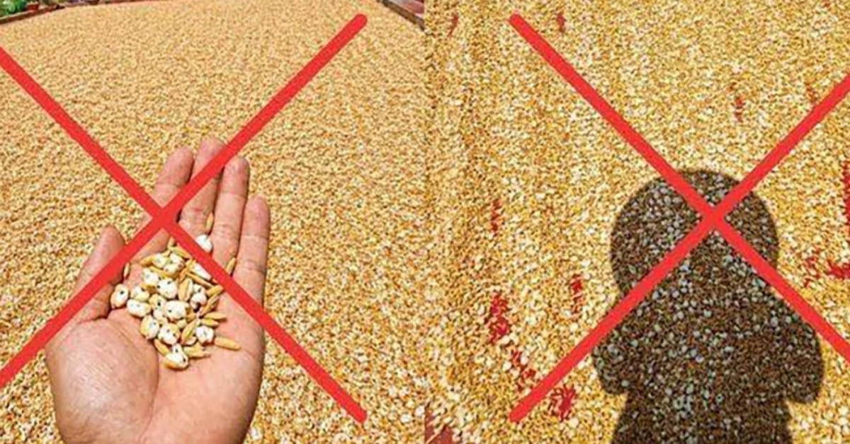 Hanoi man fined for posting fake photo of rice popping in extreme heat