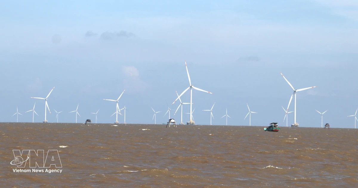 Offshore wind-hydrogen integration optimises investment efficiency