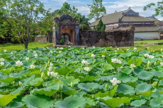 Lotus Festival lights up Hue’s summer