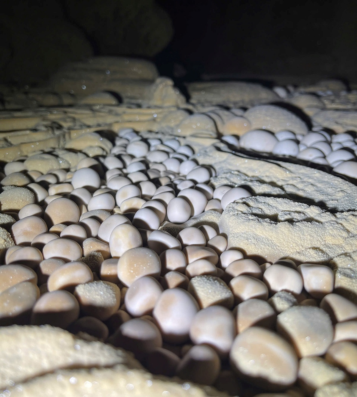 Hundreds of colorful cave pearls discovered deep inside Phong Nha caves