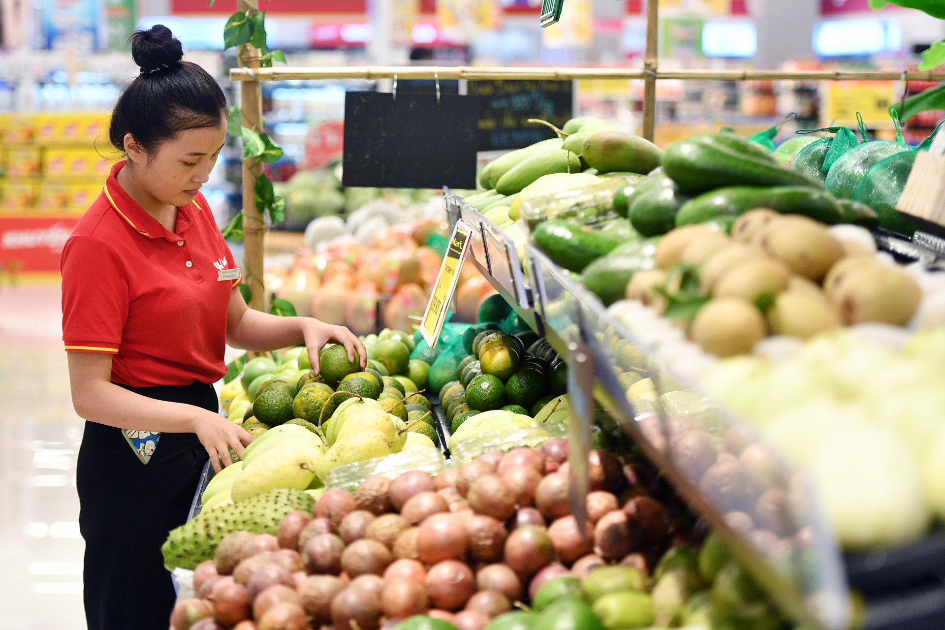 Government seeks to limit inflation impact from regulated price increases