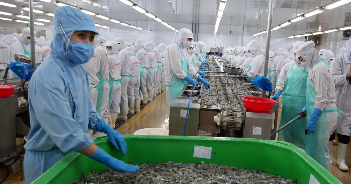 Vietnam's aquatic exports rise 12.8% in first half of 2026